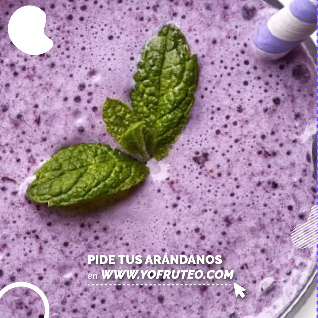 Receta de Jugo de Arándanos🍹 – Fruteo®